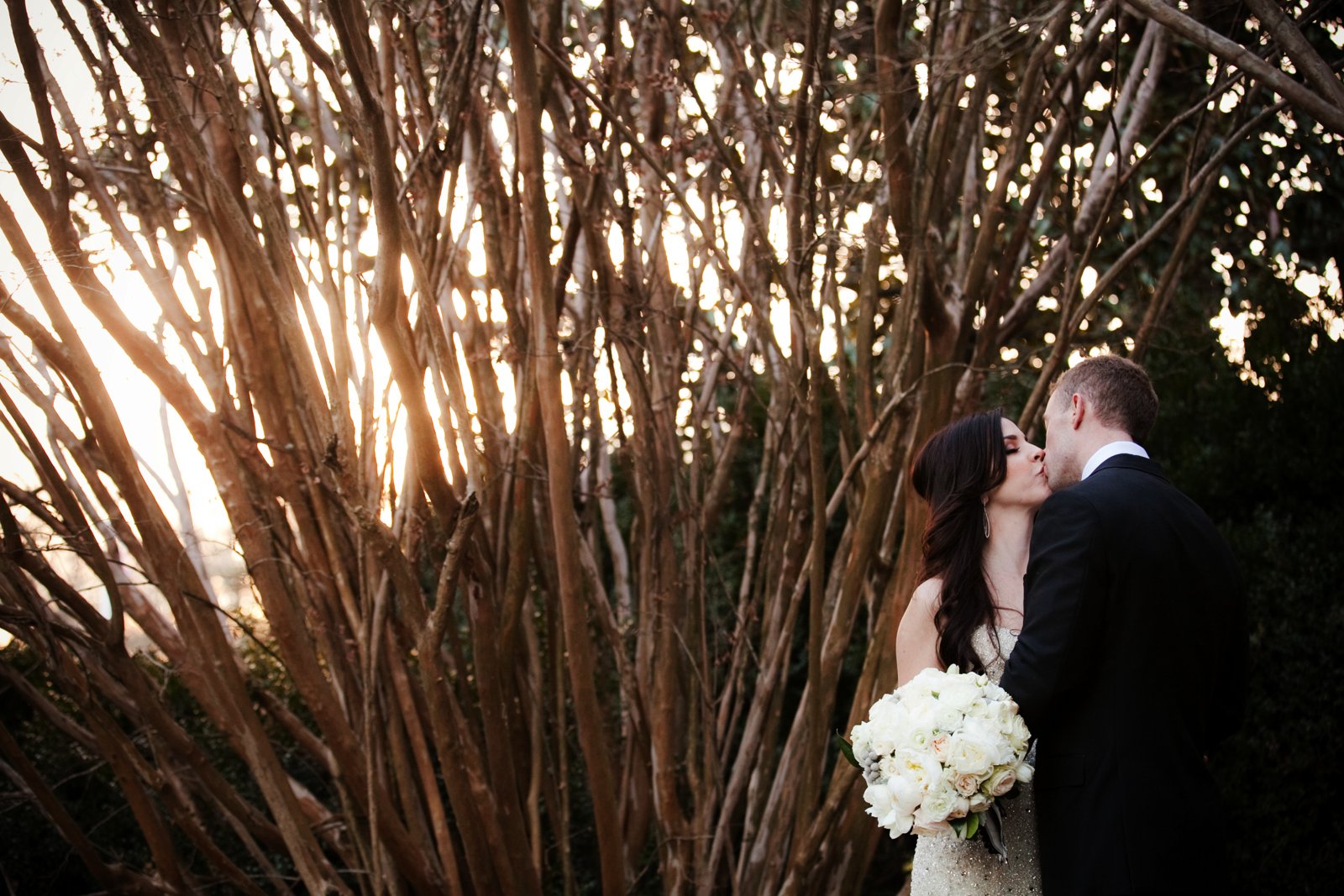 Home - Amy Tucker Photography