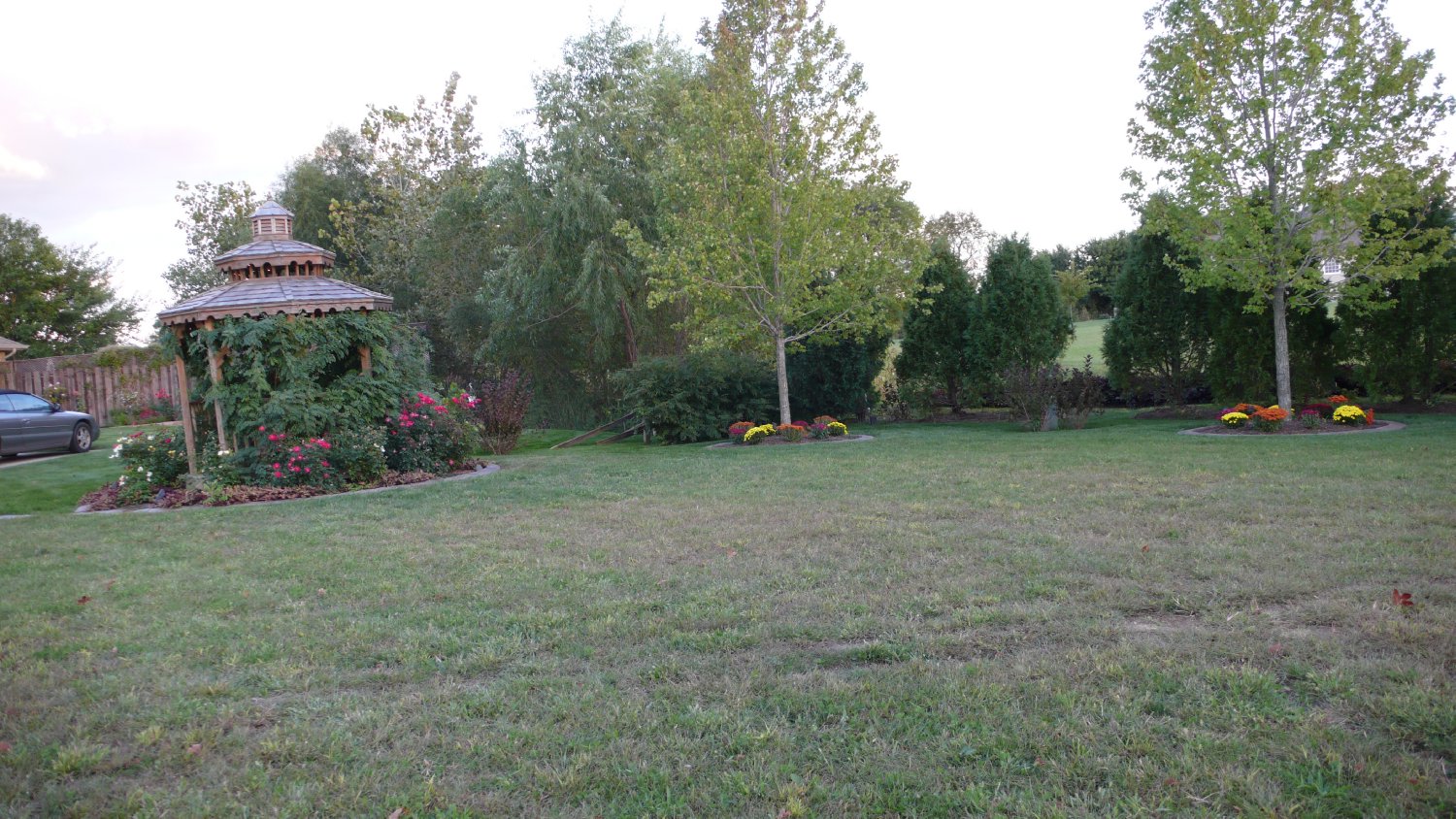 Clark Park - Ed Clark Photography