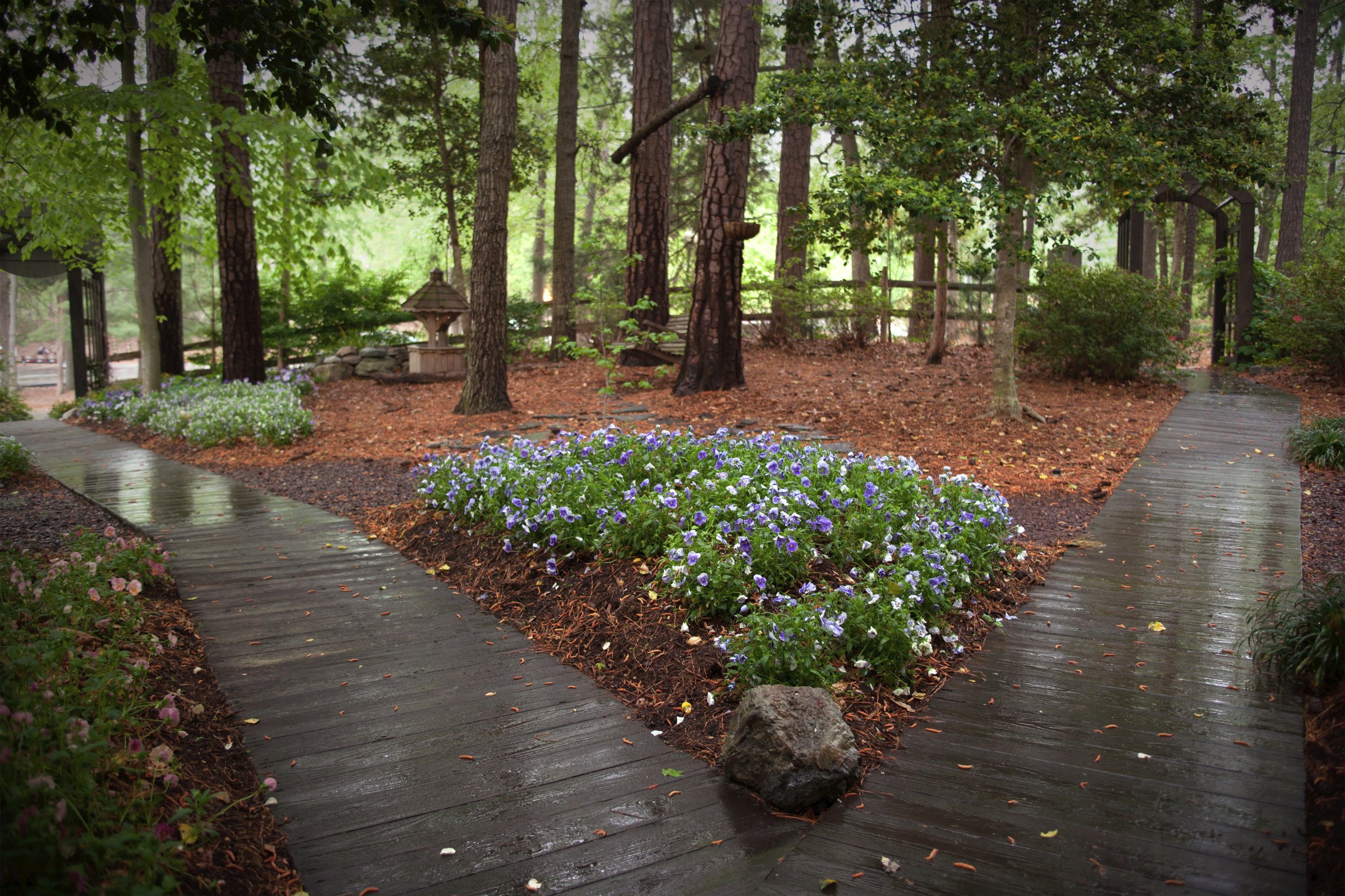 Richmond VA Studio Tour | Butler Portraits