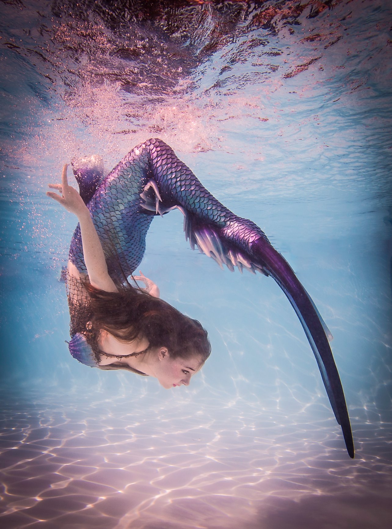 Underwater - Boston Photography