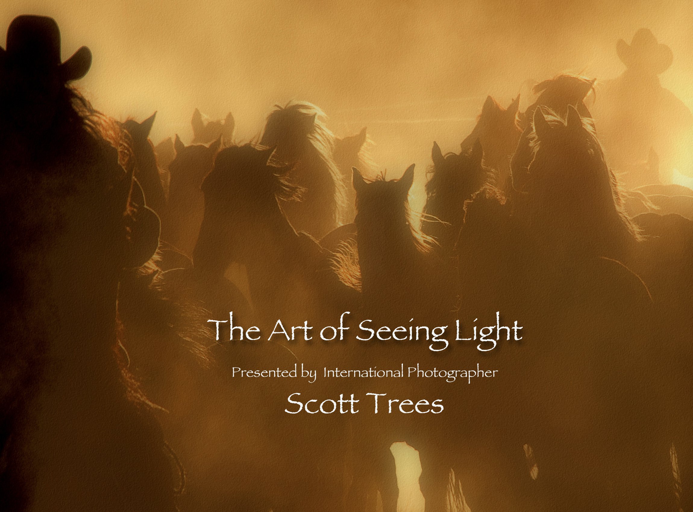 The Art of Seeing Light - Scott Trees Photography