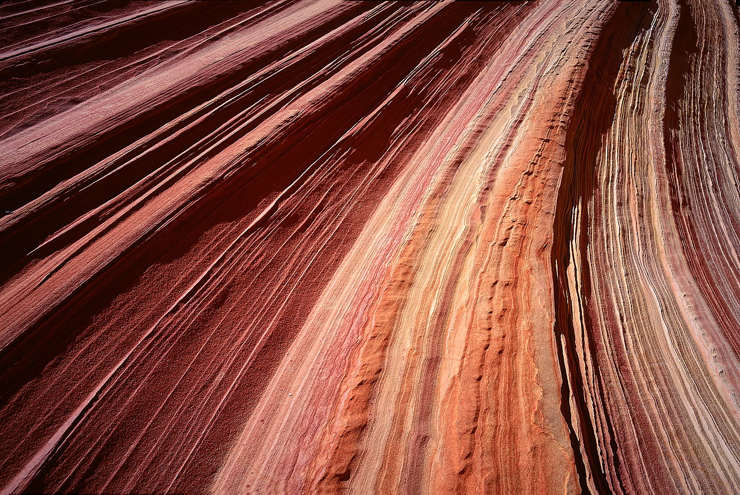 Patterns of Nature - Jim Zuckerman photography & photo tours