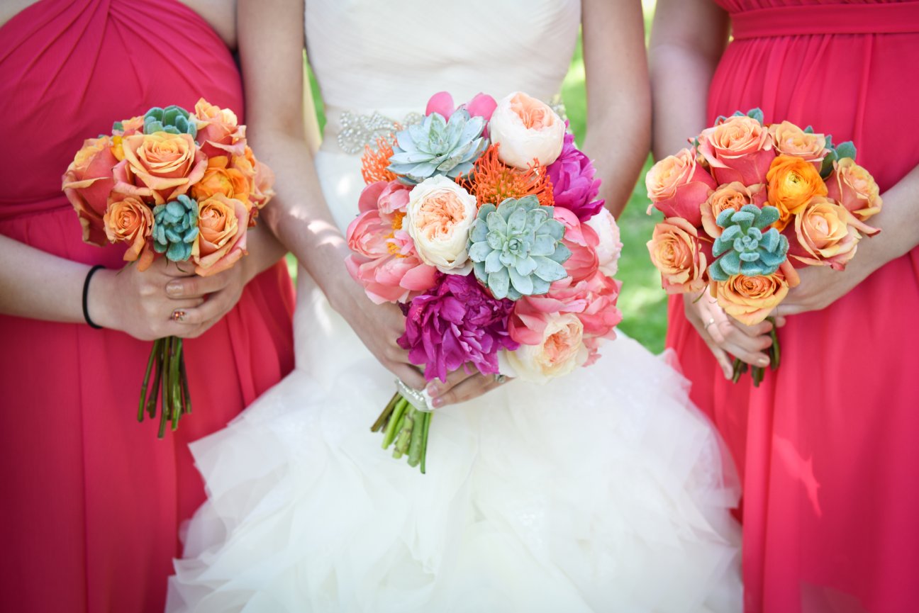 Home - Megan Photography