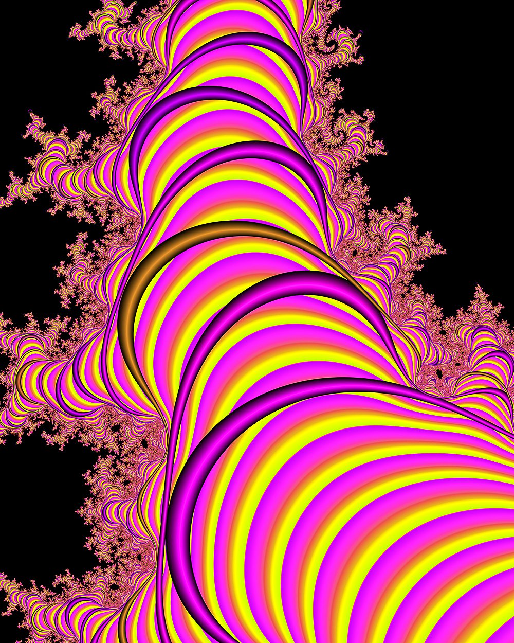 Graphics - Jim Zuckerman photography & photo tours