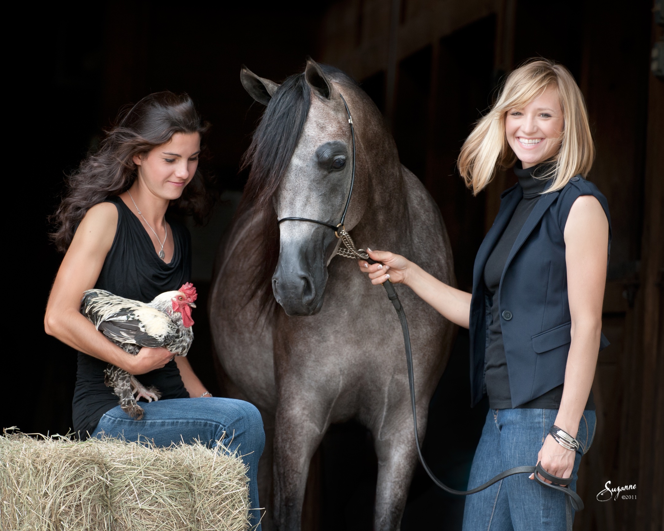 portrait gallery - EQUINE PHOTOGRAPHY by SUZANNE, Inc.