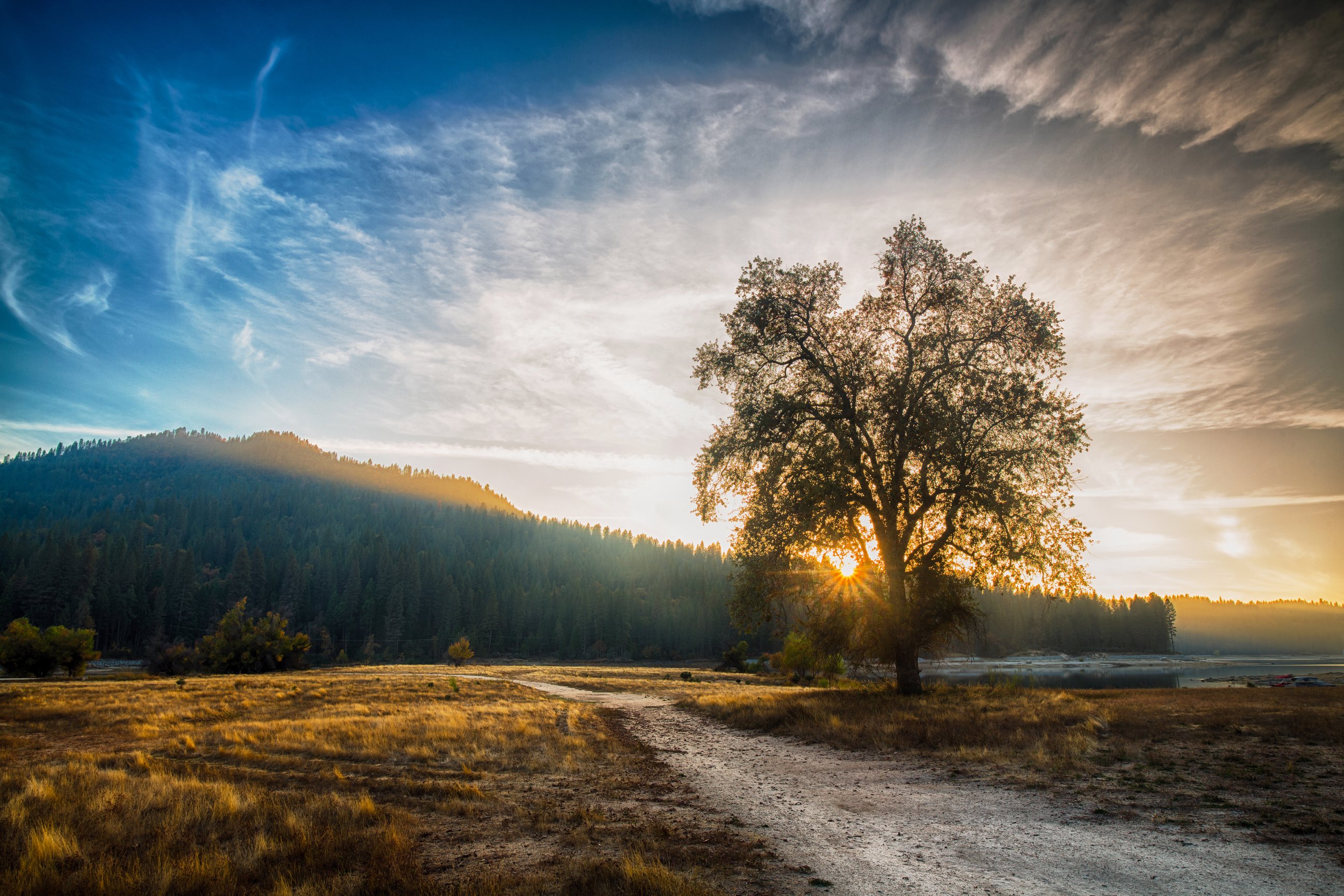 Collective Perception Photography