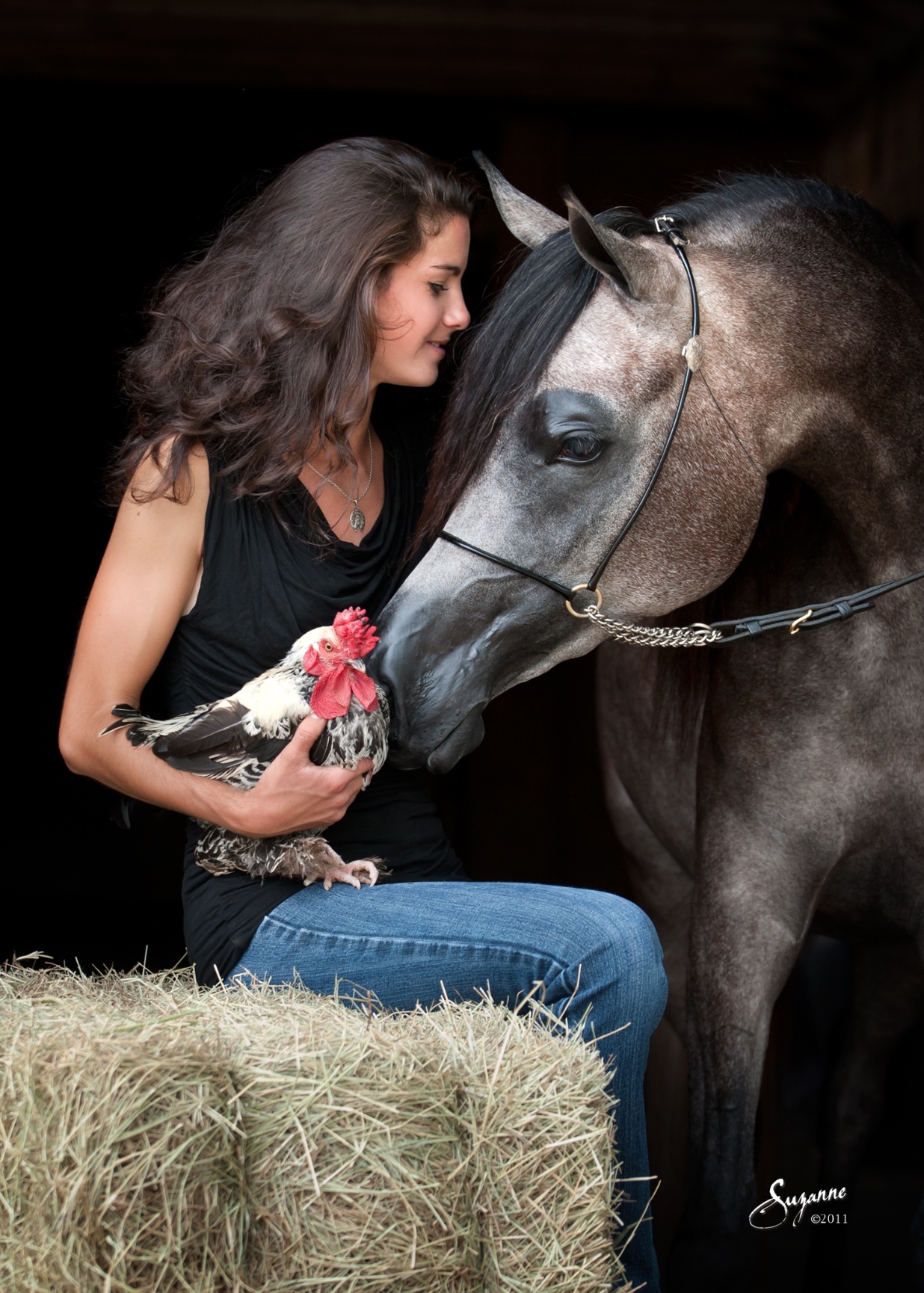 portrait gallery - EQUINE PHOTOGRAPHY by SUZANNE, Inc.