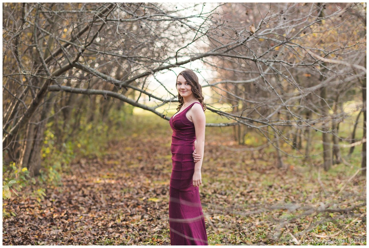 Sweet 16 I Emily I Michigan and Ohio Portrait Photography - mjr ...