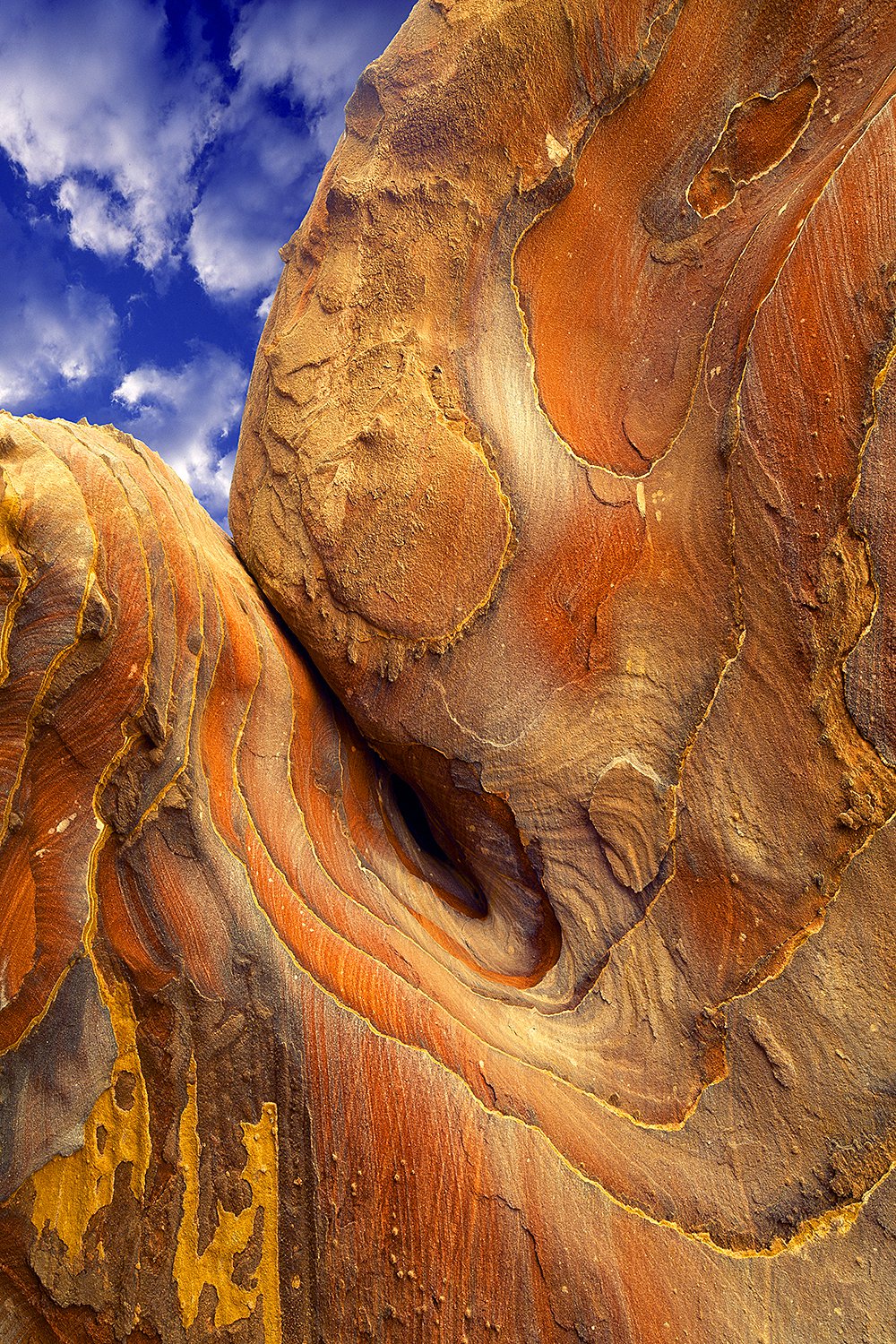 Patterns of Nature - Jim Zuckerman photography & photo tours