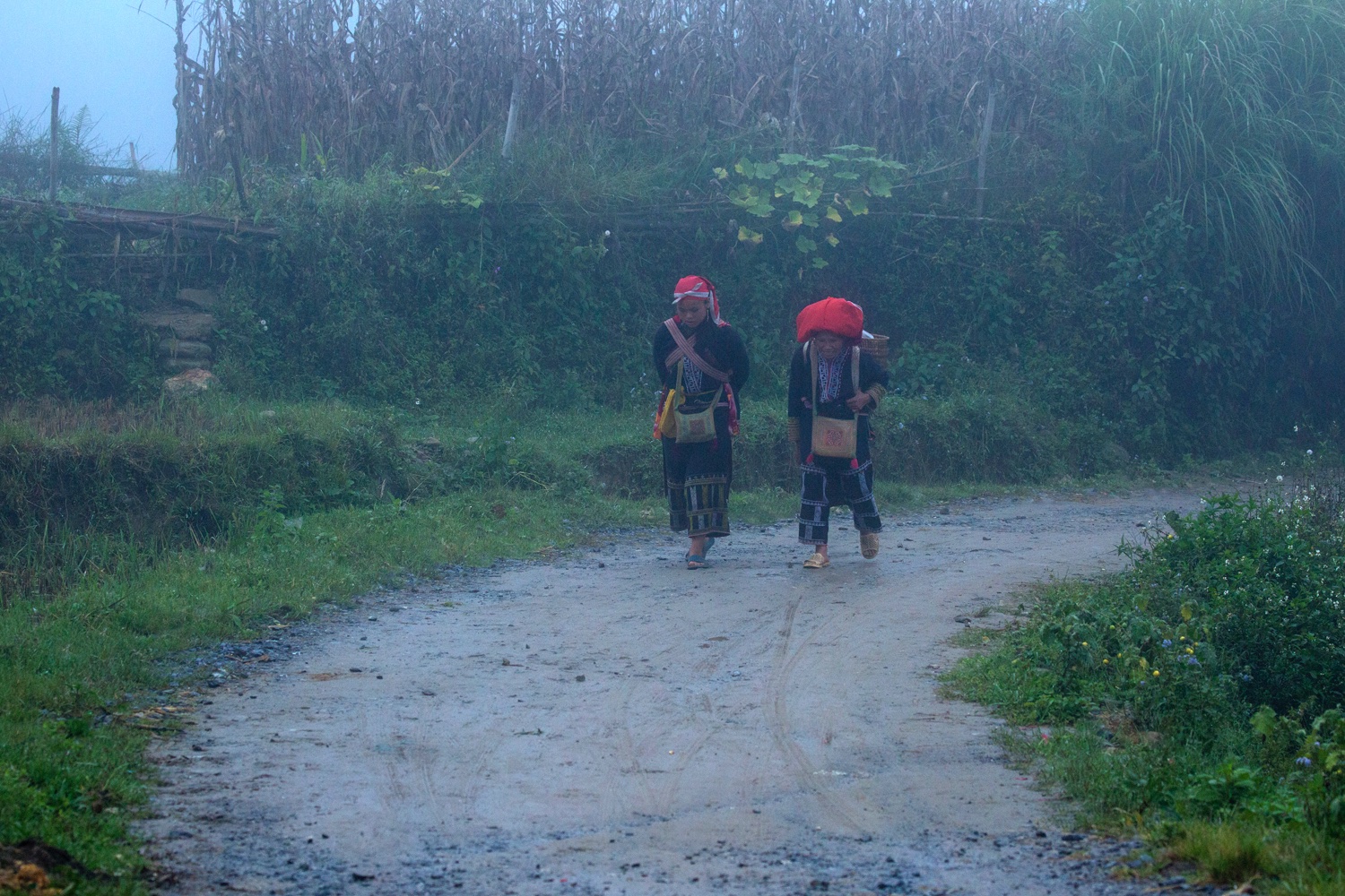 Clone tool works with the healing brush - Jim Zuckerman photography ...