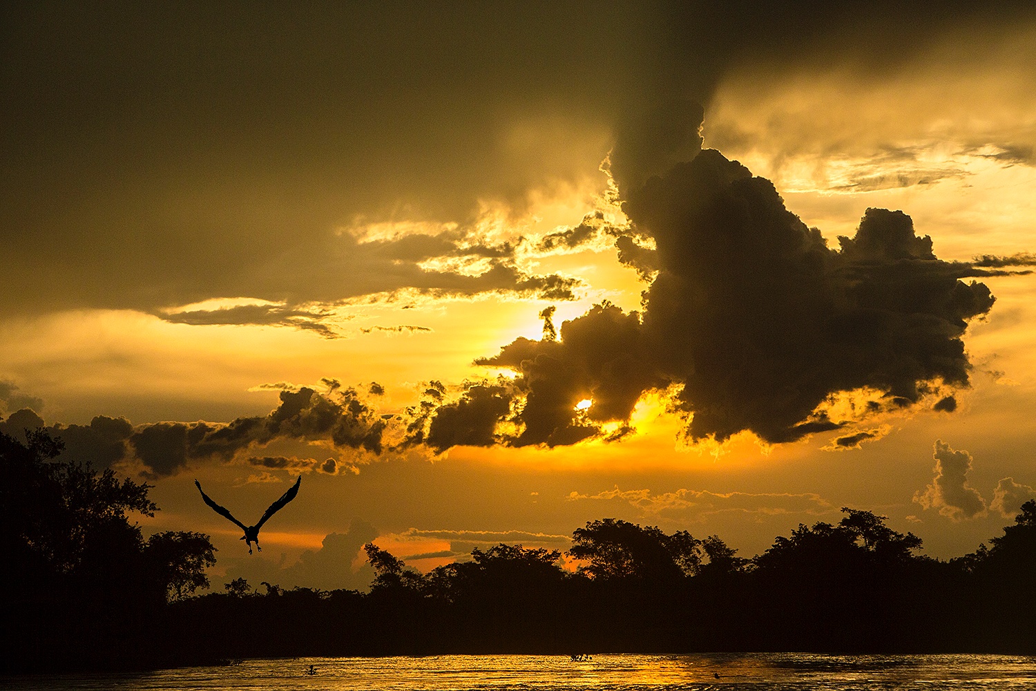 AWB and sunsets - Jim Zuckerman photography & photo tours