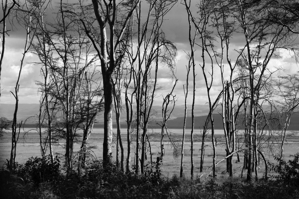 Fine Art B&W - fineartmemories