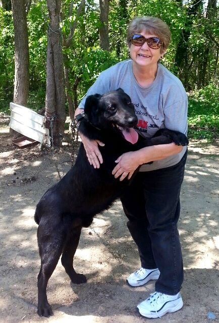 Our Kennel Kru Dogs - Break the Chain Kennel Kru