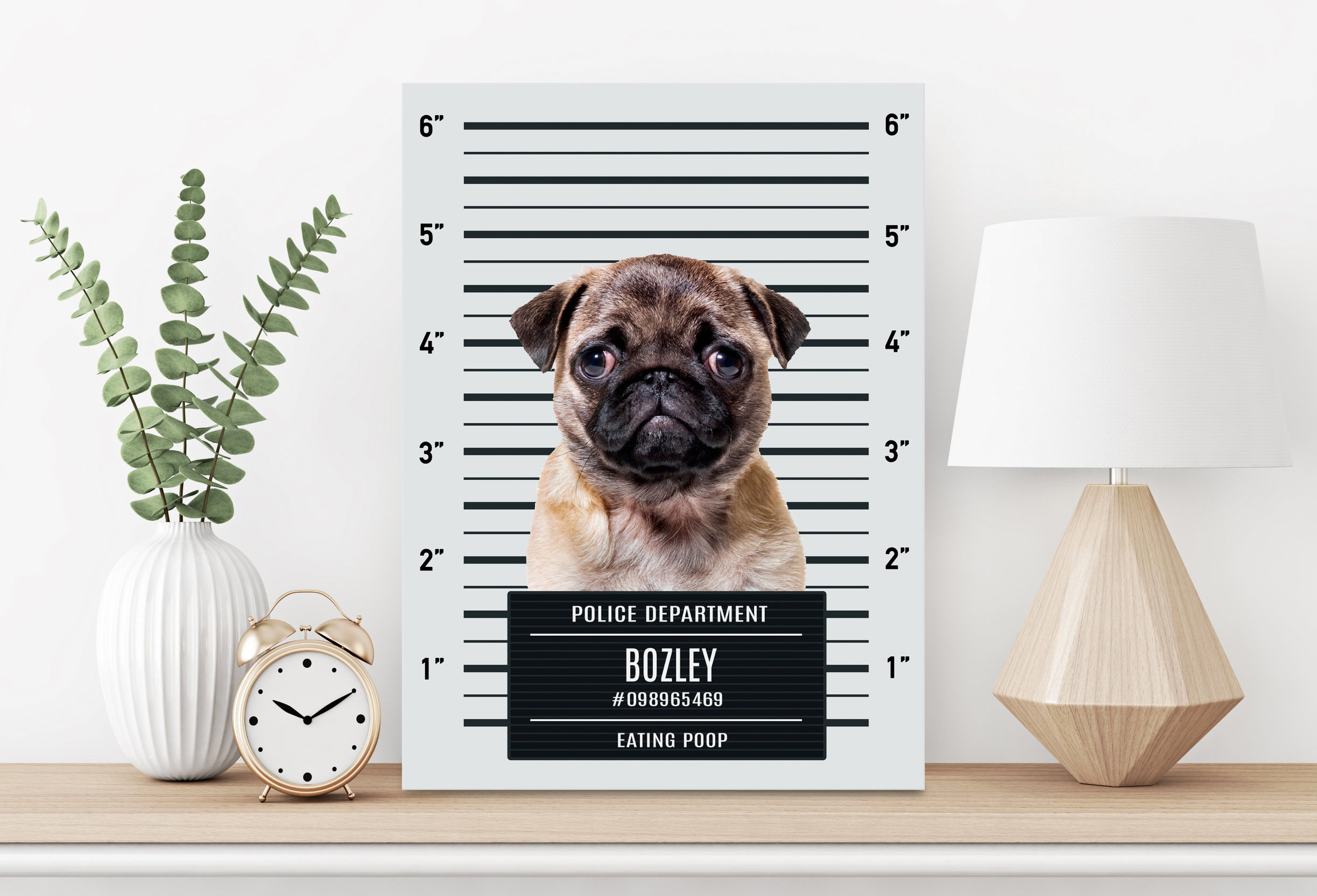 CUSTOM PET MUGSHOTS