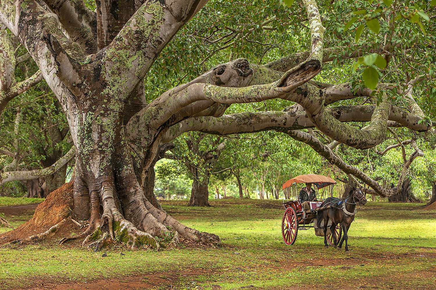 Burma (Myanmar) - Jim Zuckerman photography & photo tours