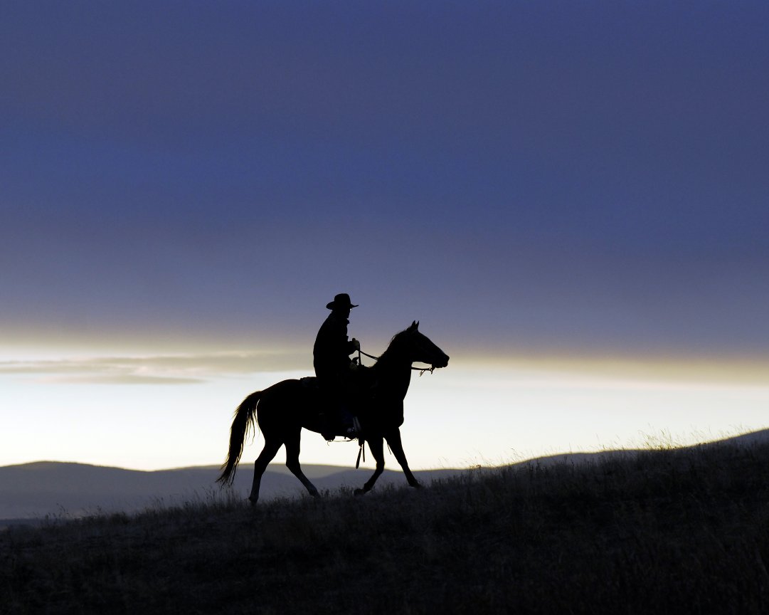 Western Lifestyle Photography in Montana | Cynthia Baldauf Images