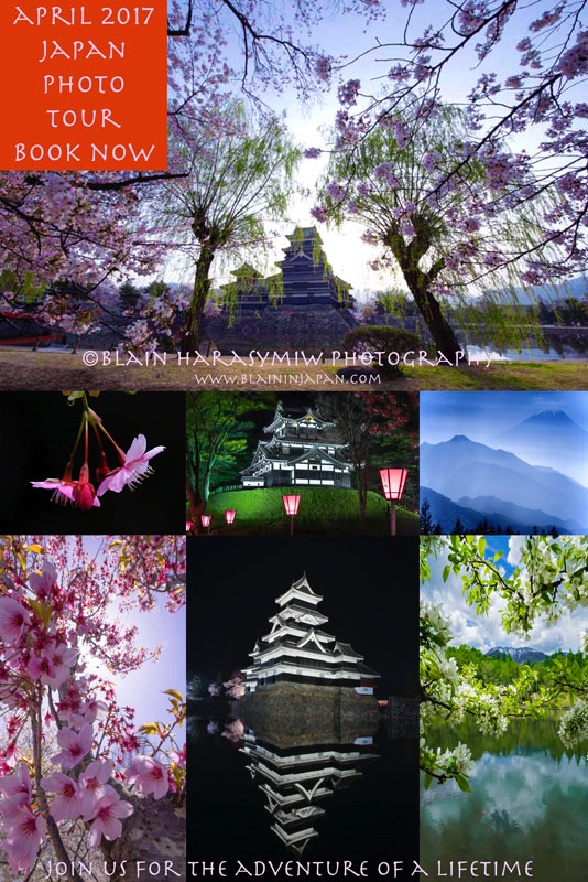 SPRING IN JAPAN PHOTO TOUR - Blain Harasymiw Photography