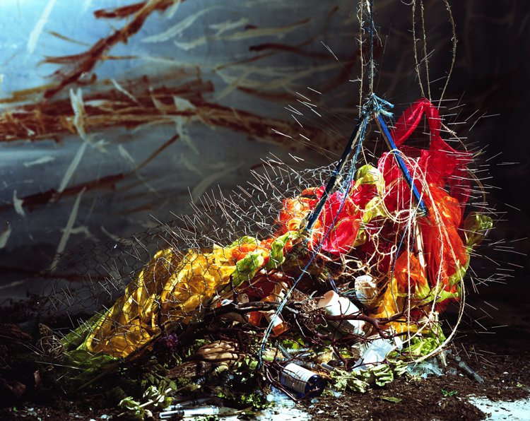Home - Lisa Talbot