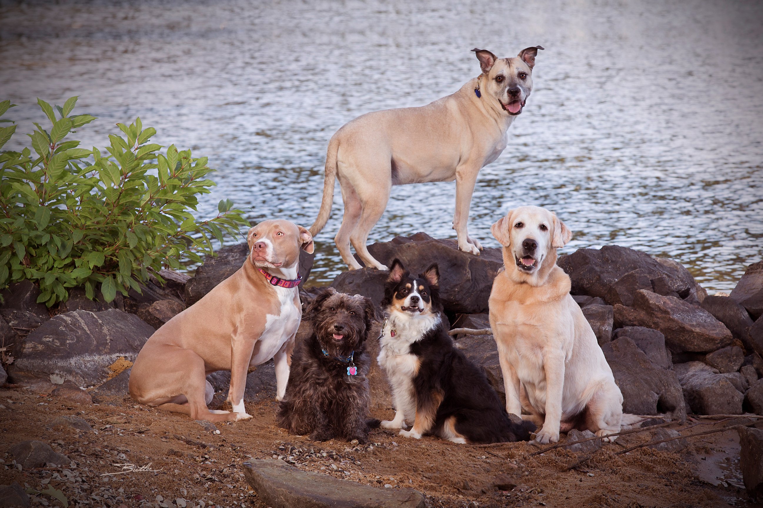 Fine Portrait Artist | Butler Portraits | Richmond, VA