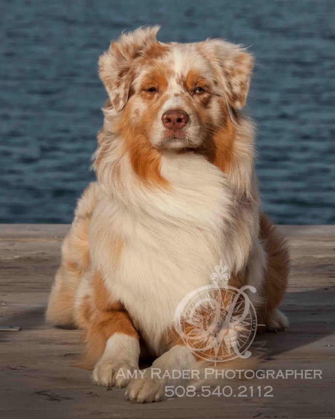 Blog - Amy Rader Photographer