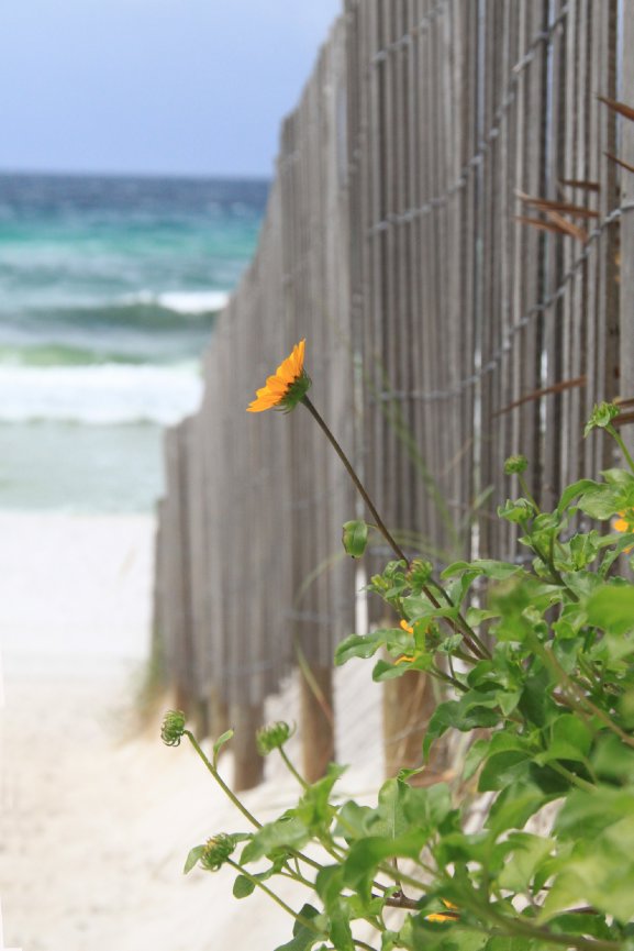 Contact J Conley Images