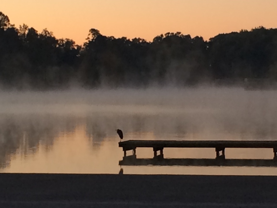 PURCHASE IMAGES - CVA - OH SNAP