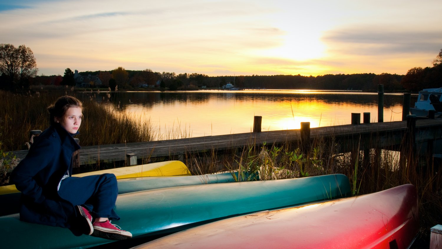 Home - Alison Sheehy Photography