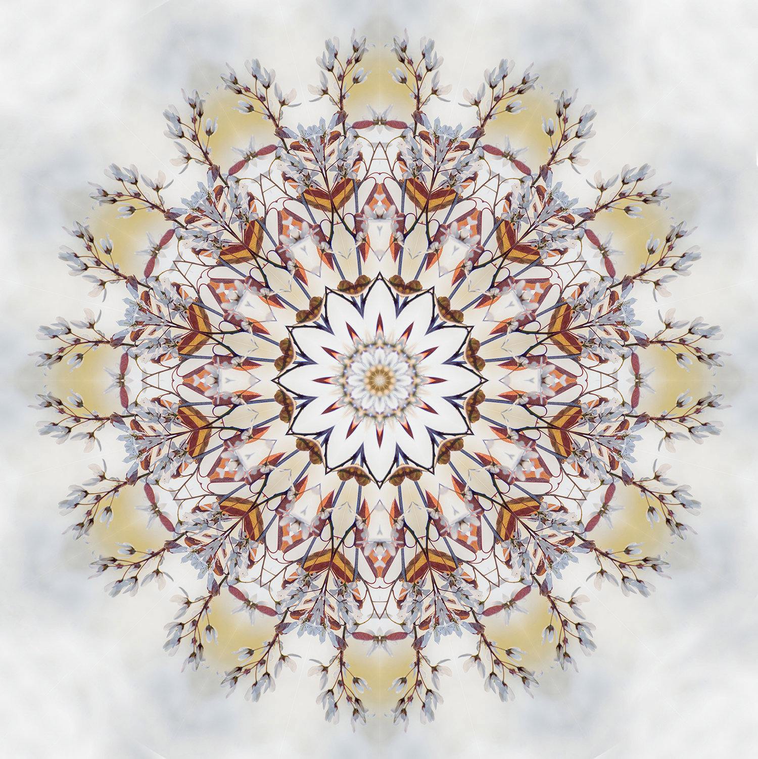 FLORAL ART | KALEIDOSCOPES | Susan Phelps Photography | WOKINGHAM