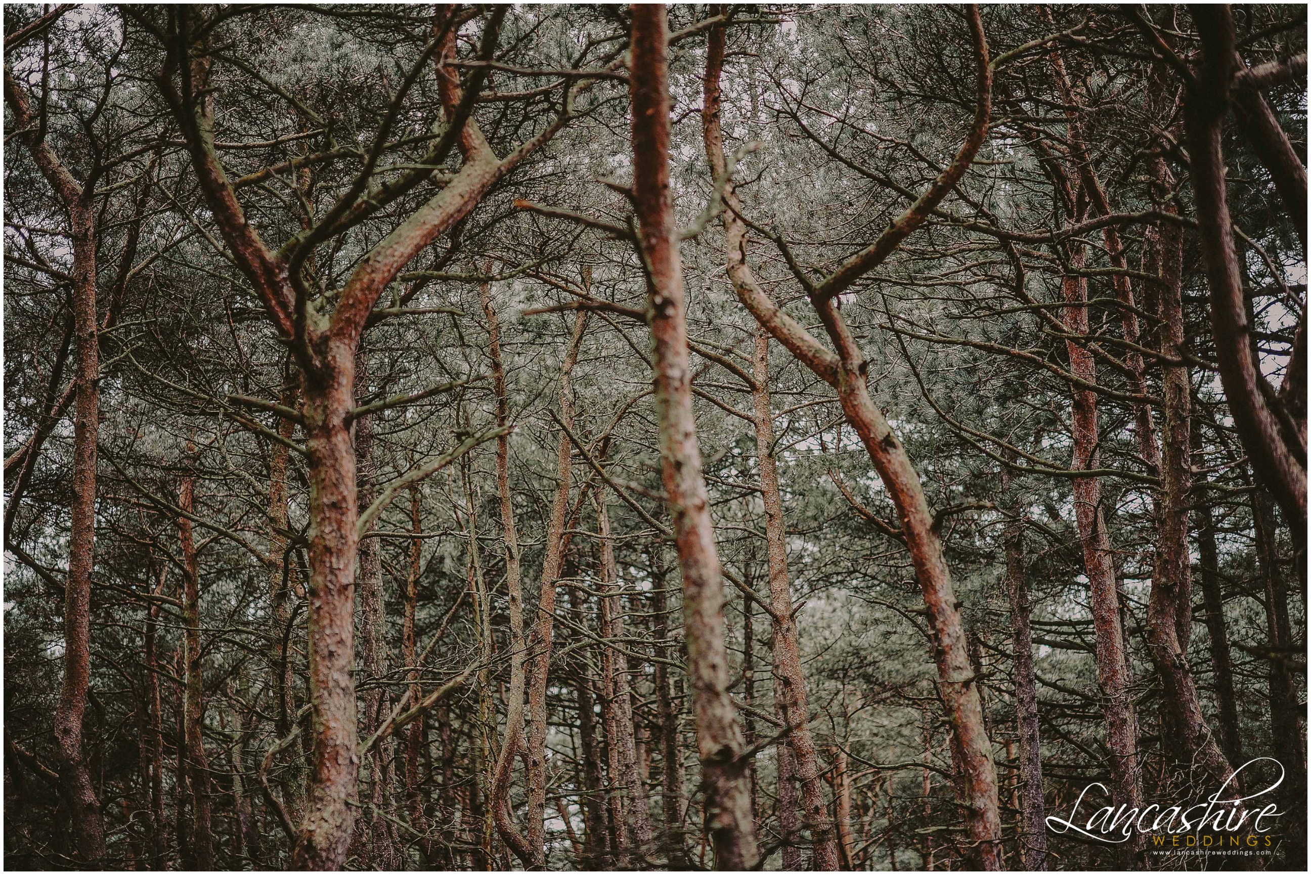 Zara & James - NeilGriffithsPhotography