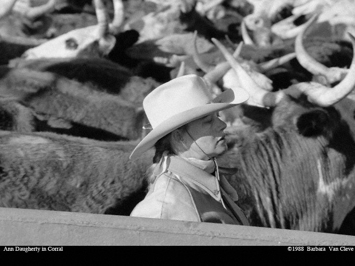 WOMEN RANCHERS - Barbara P Van Cleve