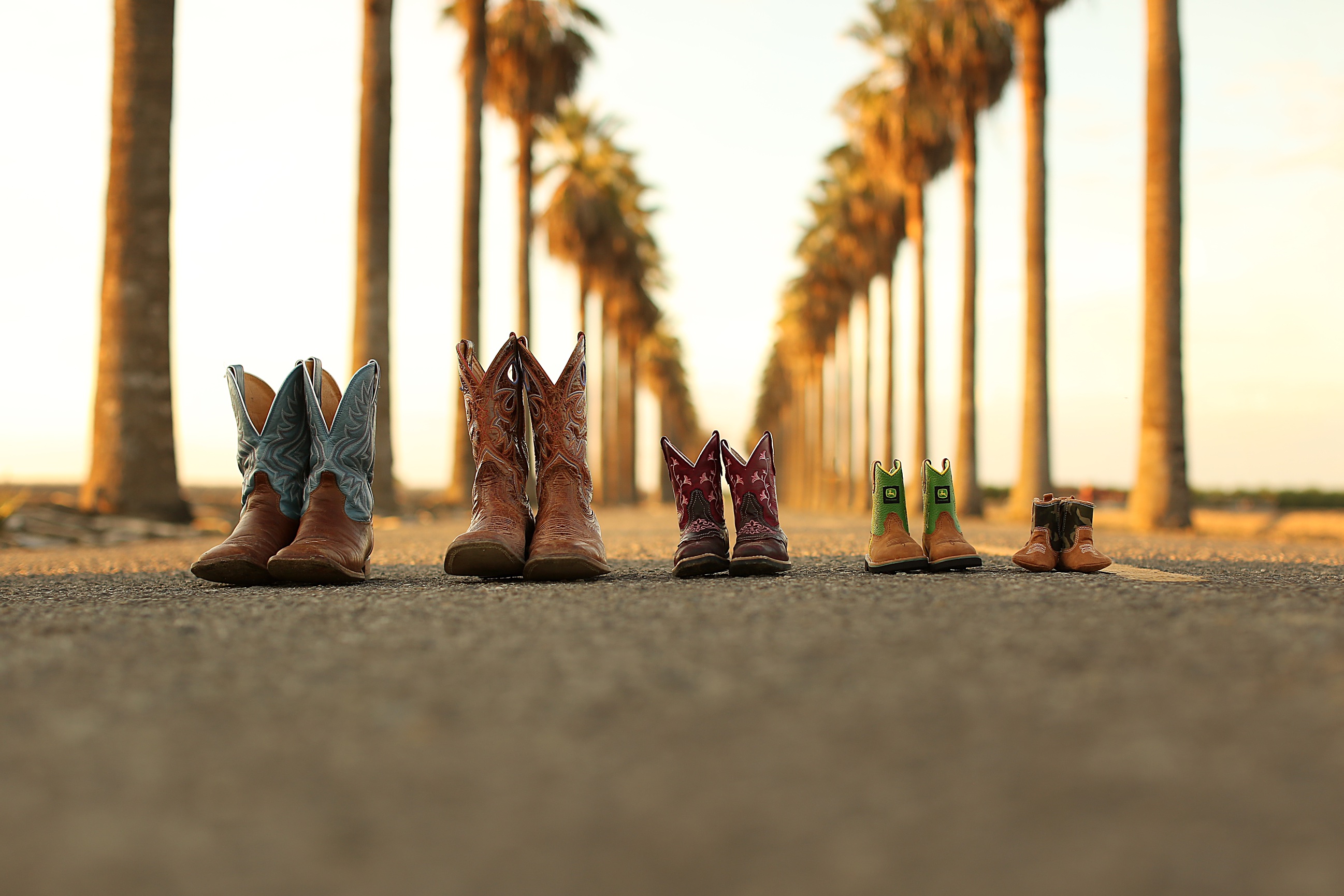 Home - Janette Smith Photography