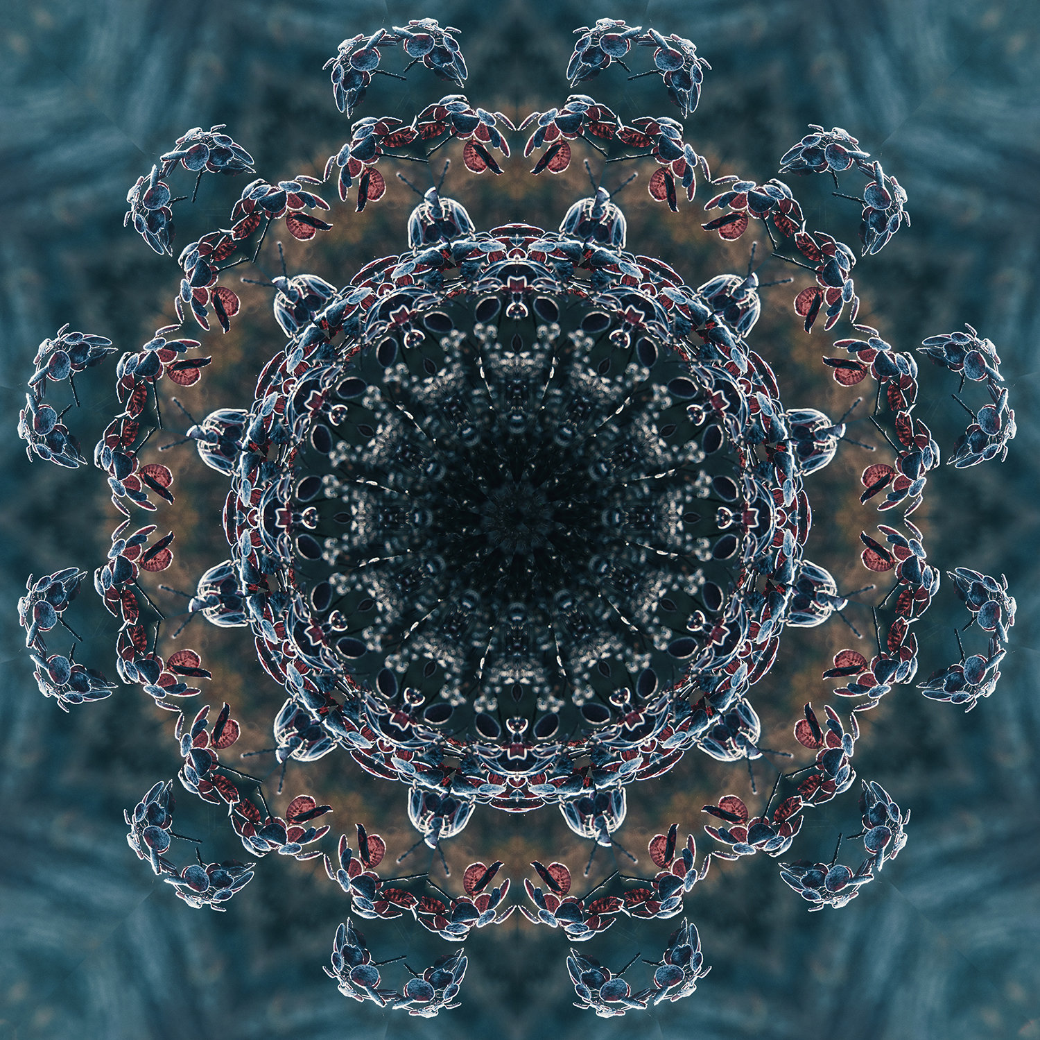 FLORAL ART | KALEIDOSCOPES | Susan Phelps Photography | WOKINGHAM
