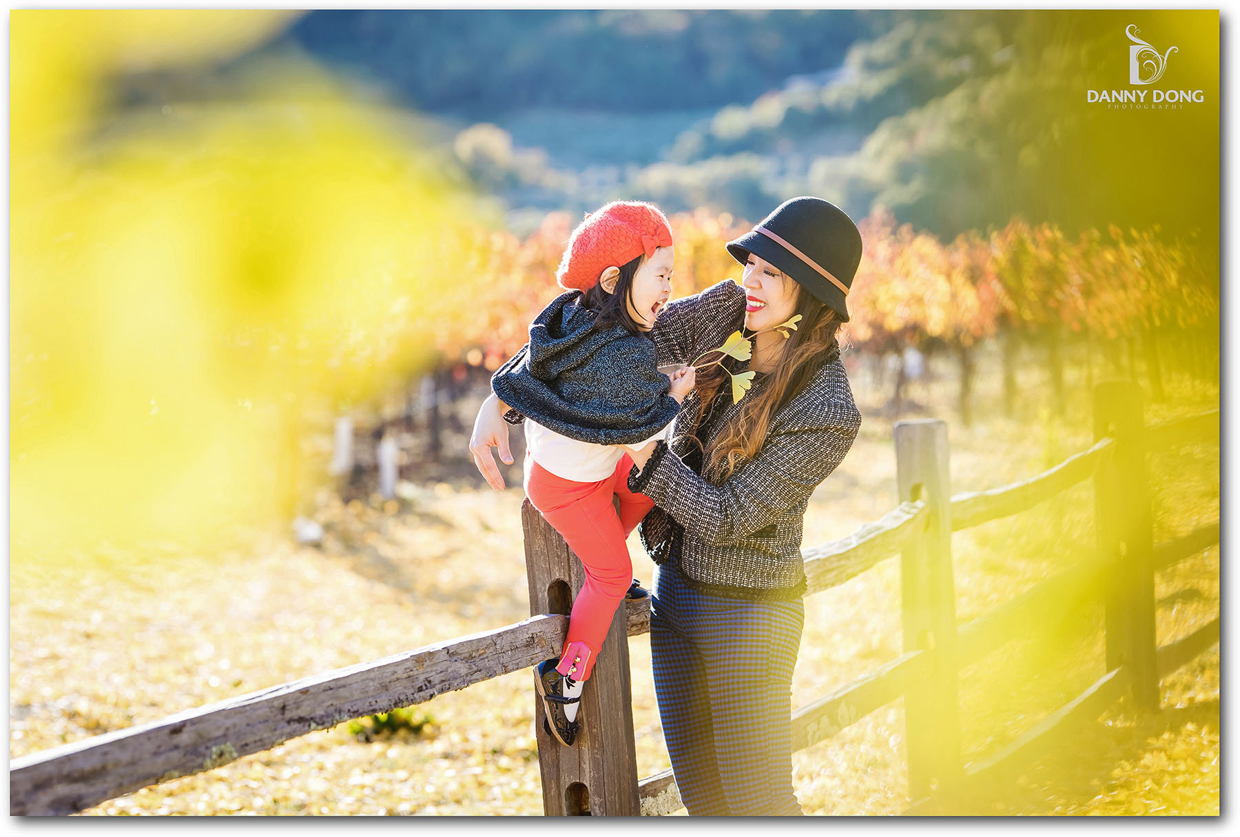 Color of Fall in Napa Valley - Danny Dong Photography
