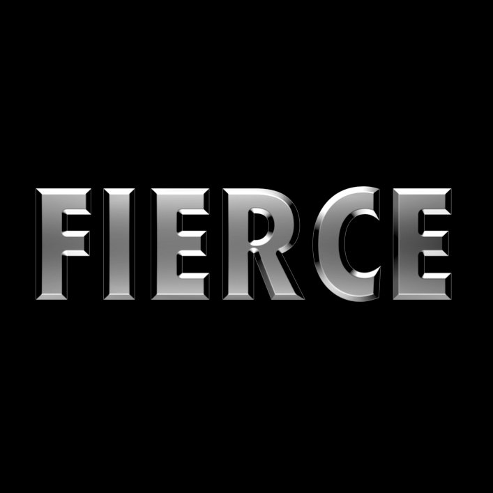 Fierce Images | Erica Land Photography | Maryland Portrait Photographer