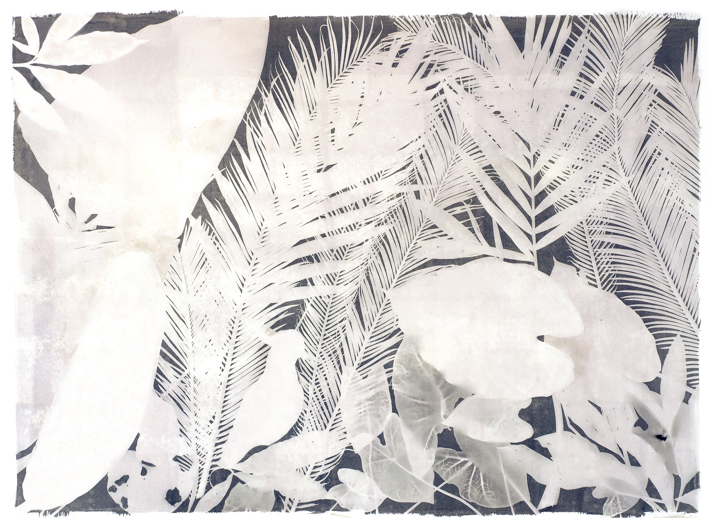 STATE OF NATURE - Longstreet Collection