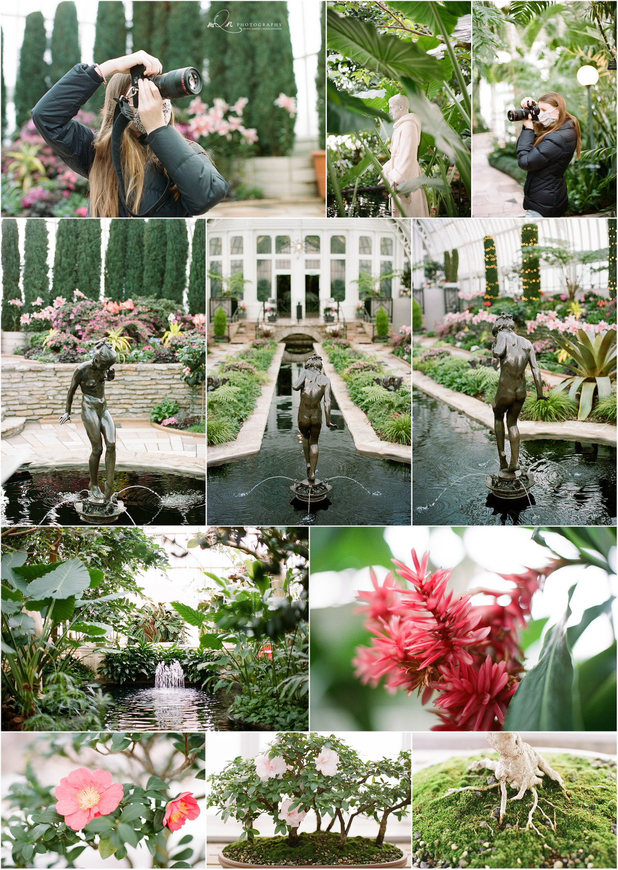 Photo Walk at Como Park Conservatory