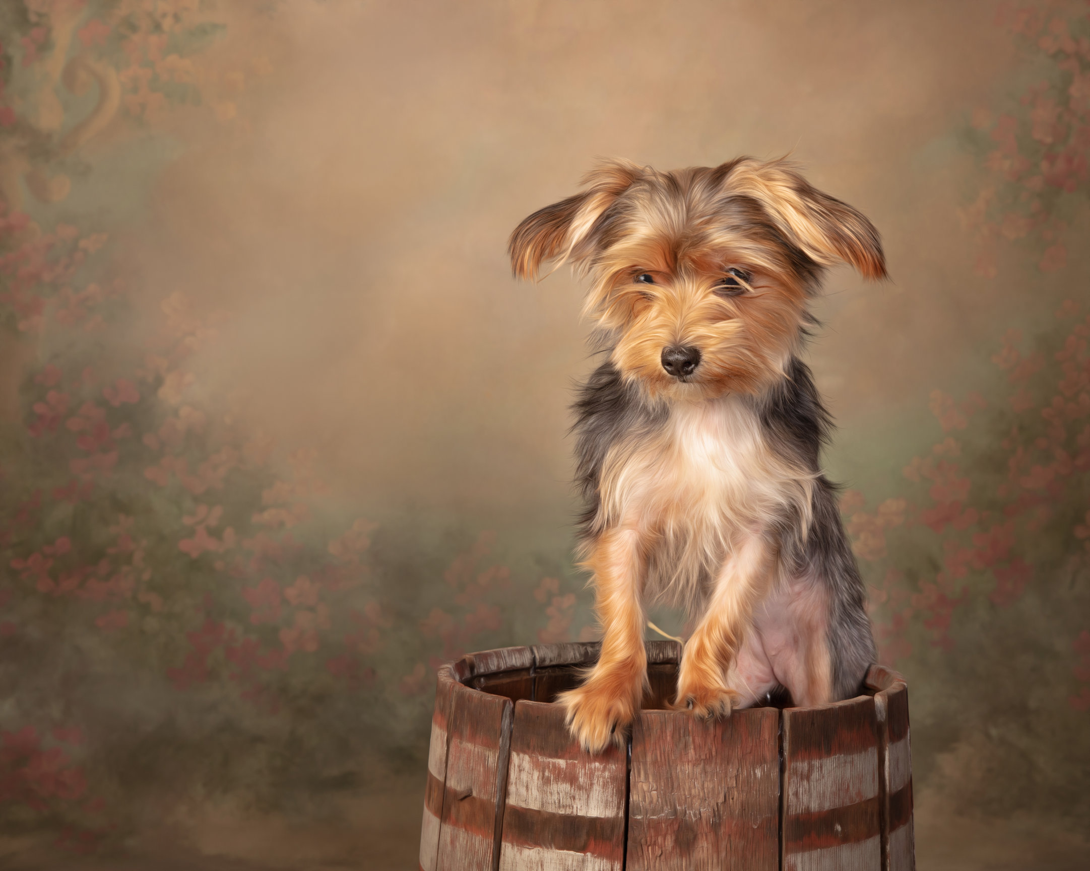 Pet Family Portraits & Photoshoots - Pet Photo Art in Charleston SC