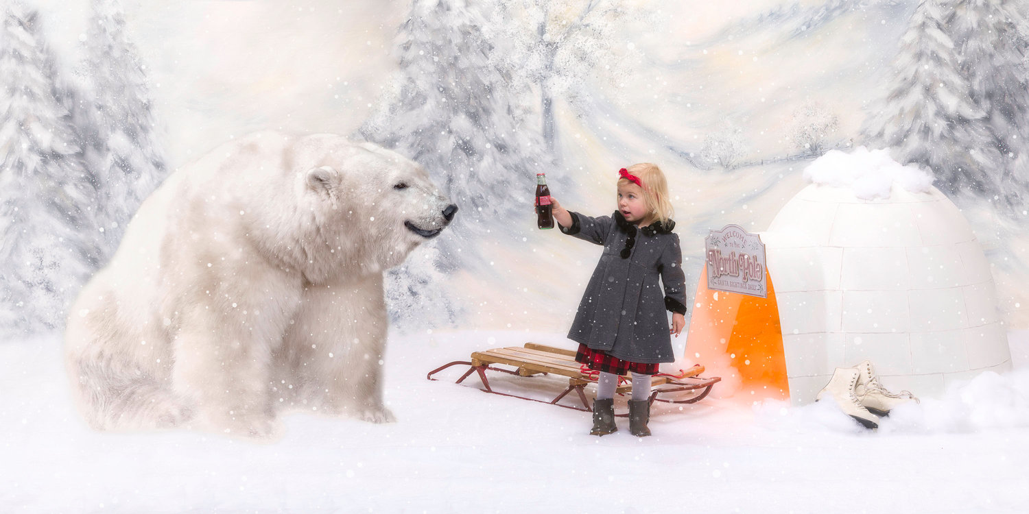 POLAR SPECIAL - Studio One Photography