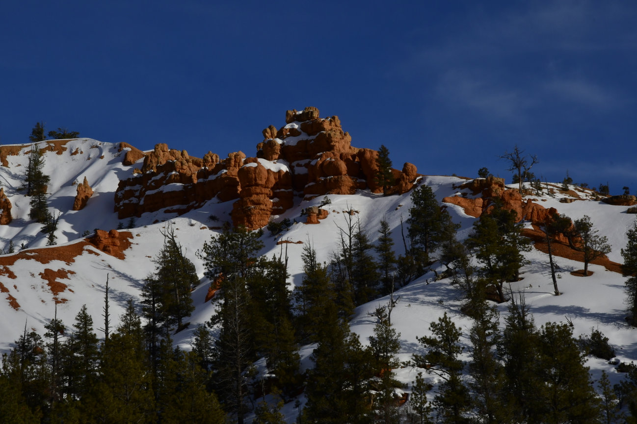 Expert Photography by Jeff Mosal – 40 Years of Experience