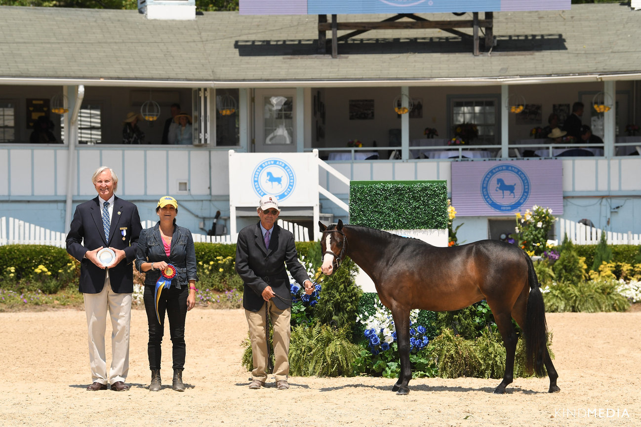 Devon 2024 - Kind Media LLC