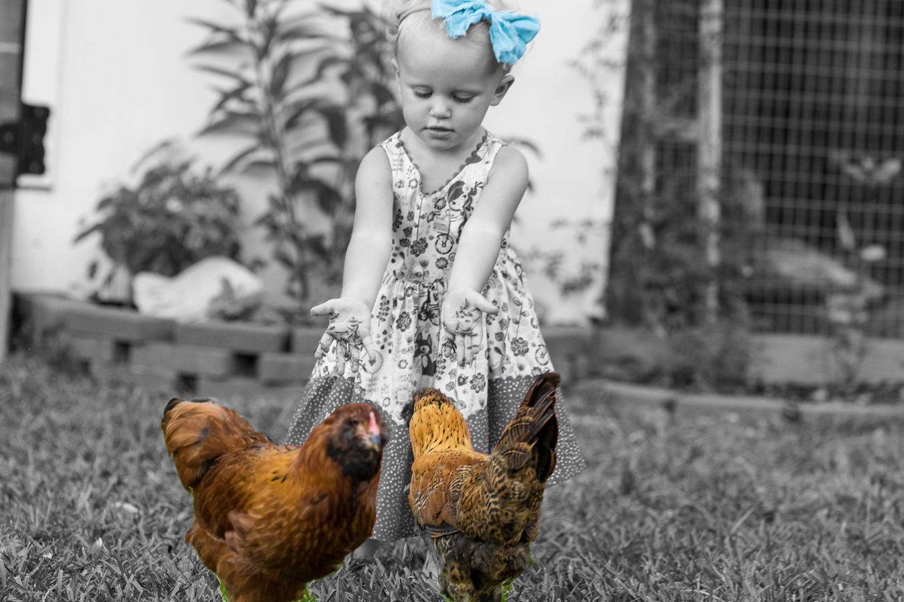KIDS & CRITTERS - Toni Cogbill Photography