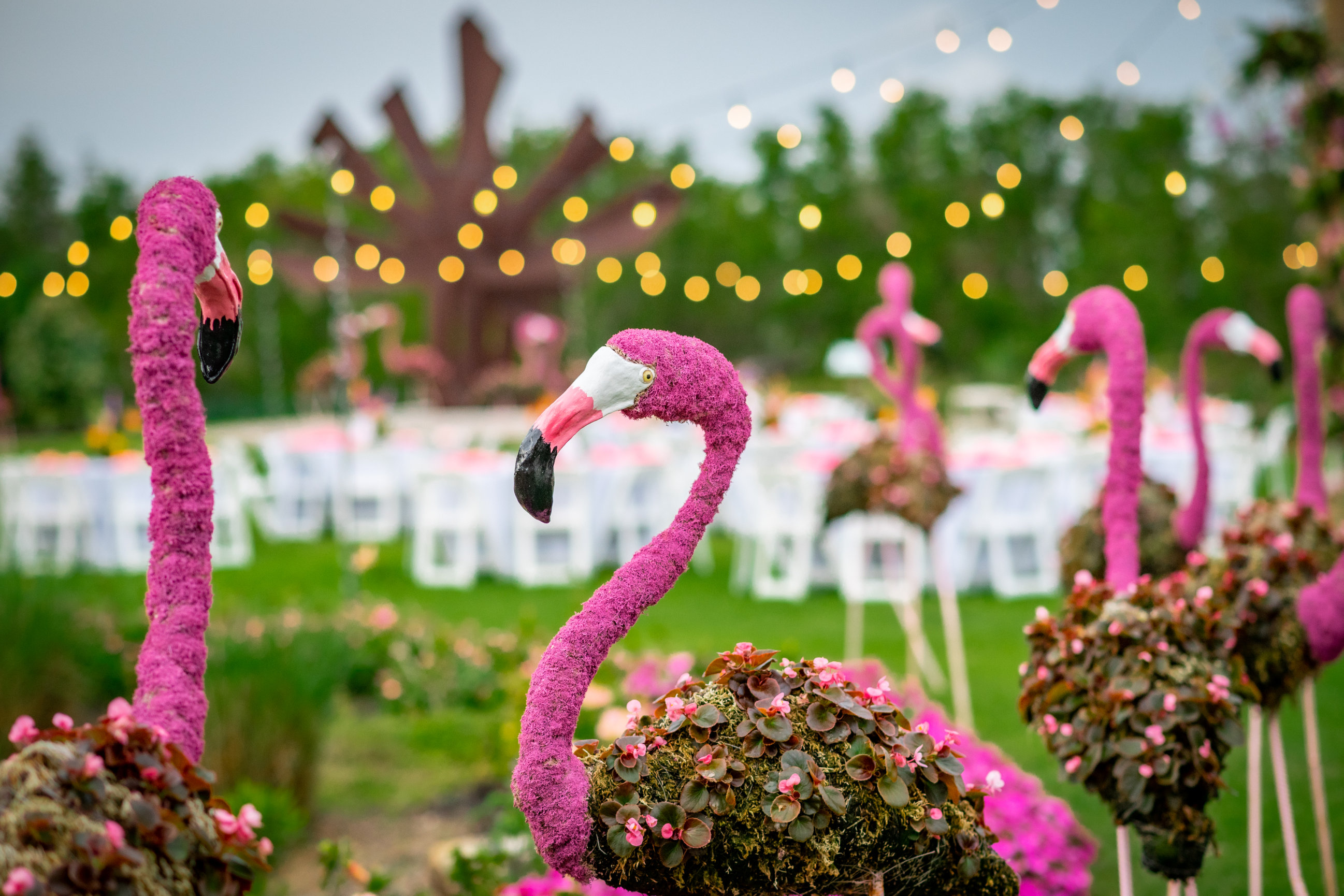 Peace River Botanical And Sculpture Garden Soiree