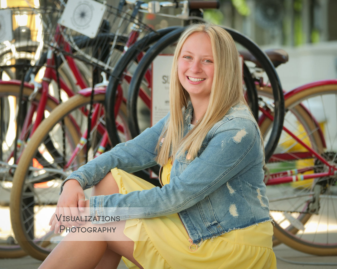 Taylor - Viz-Model 2023 - Visualizations Photography