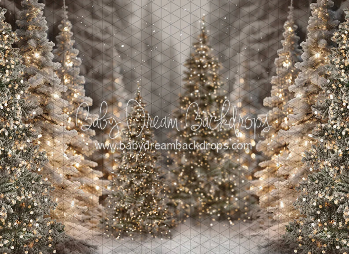 Mini Delights - Photos by Tannaz