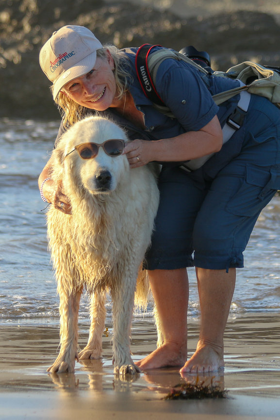 Jude Conning Photography | Halidays Point Dog Photographe