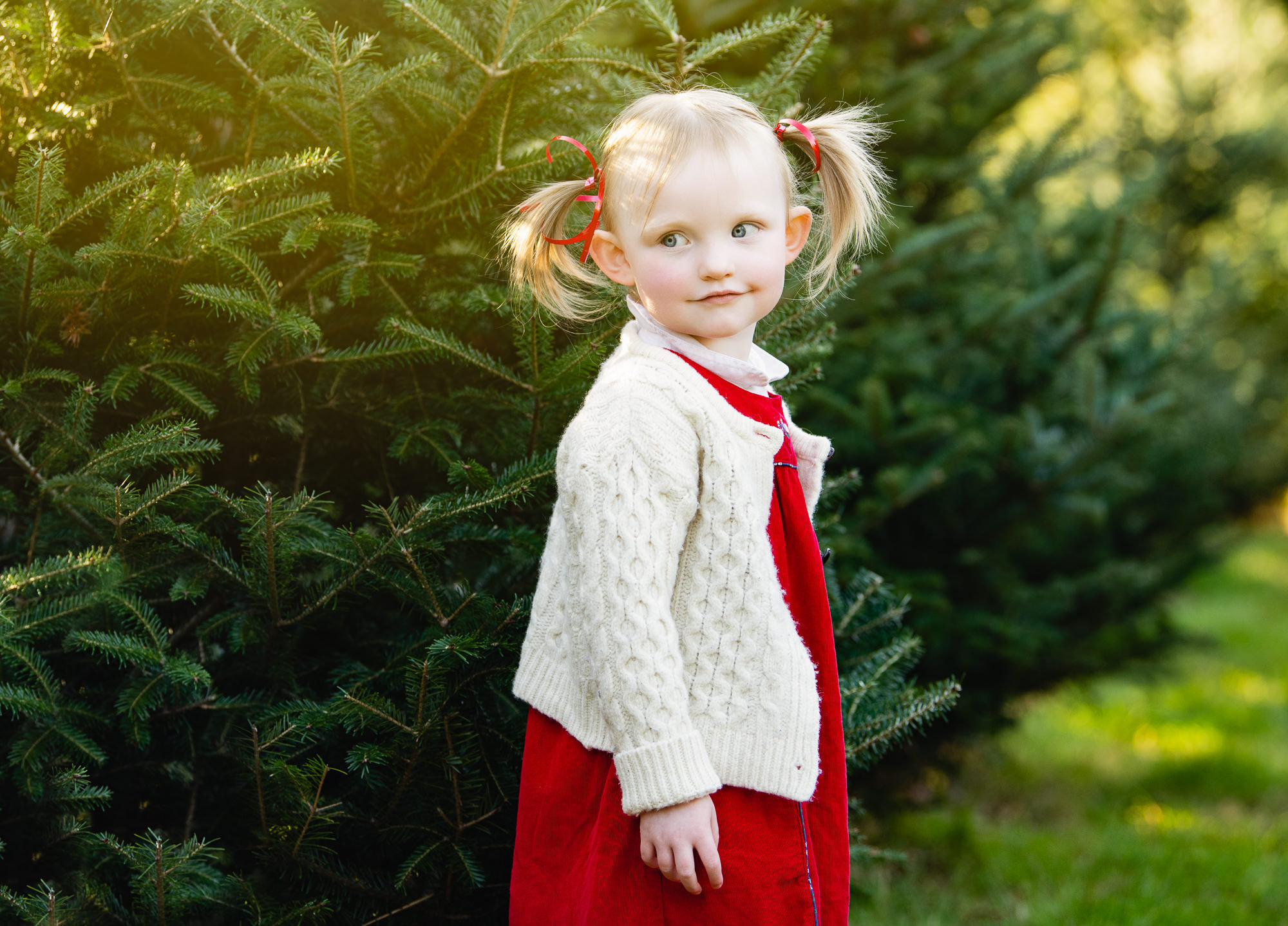 Children & Teen Portraits | Jenée Cook | Attleboro, MA