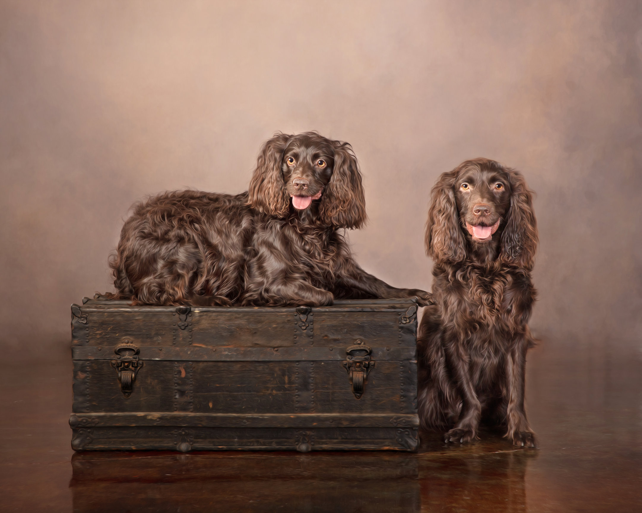 Furry Things | Castelo Portrait Art | Charleston, SC