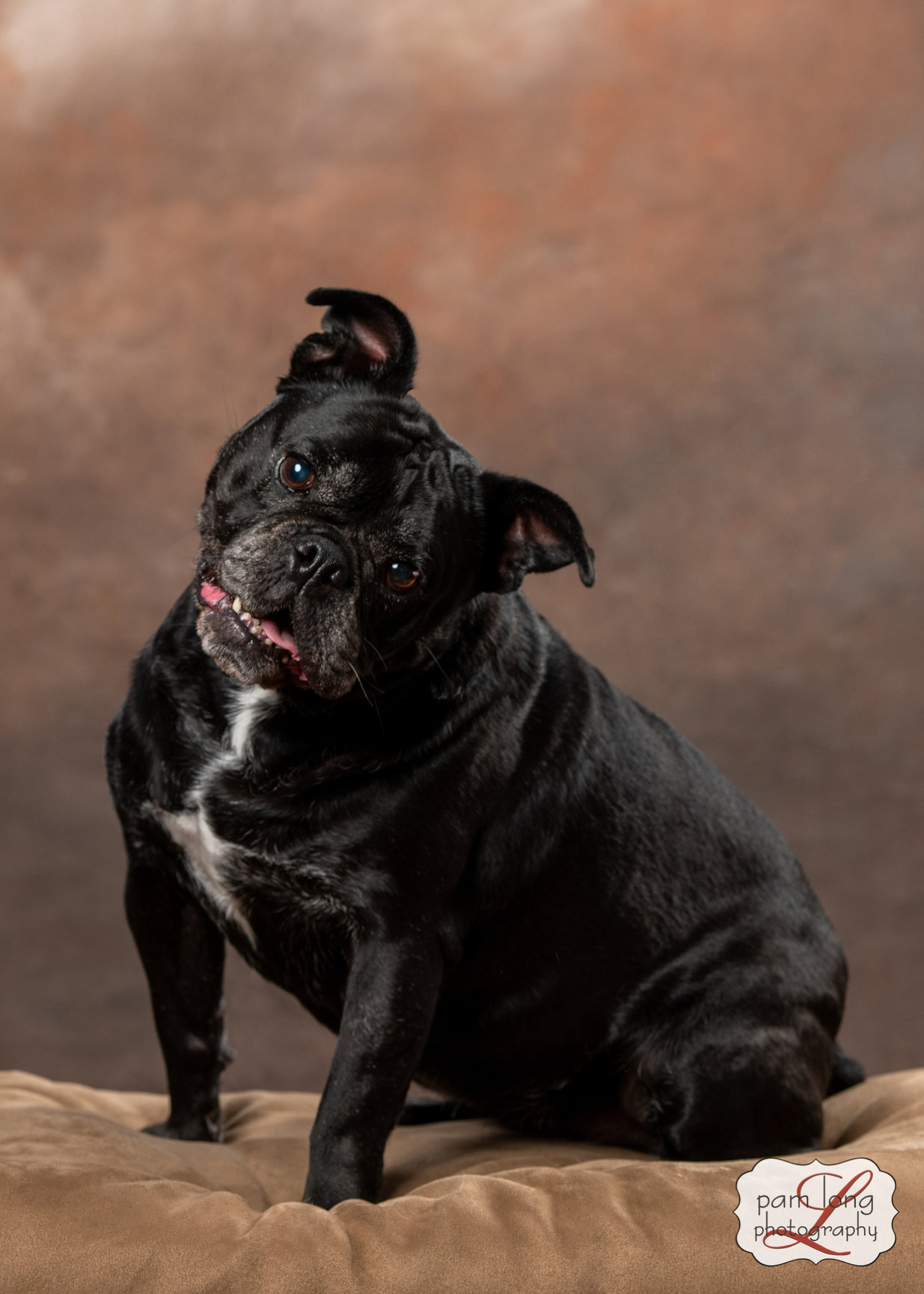 Lily's Senior Portraits - Pam Long Photography