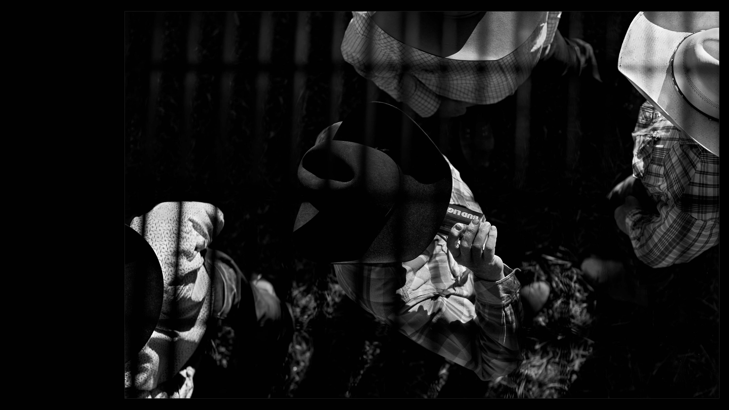 Went for the light, stayed for the bronc riding - Billie-Jean Duff ...