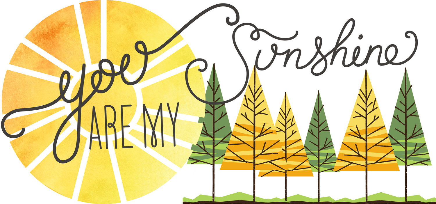 You Are My Sunshine Mini Session Fundraiser - Pam Long Photography